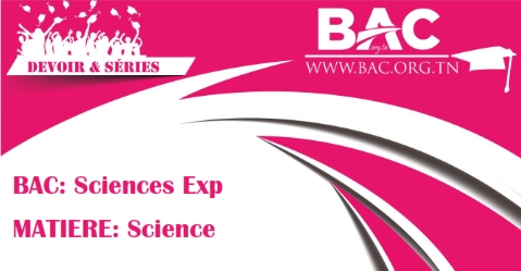 Devoir Contrôle N°2 Avec Correction - Bac Sciences - Bac Tunisie 2026